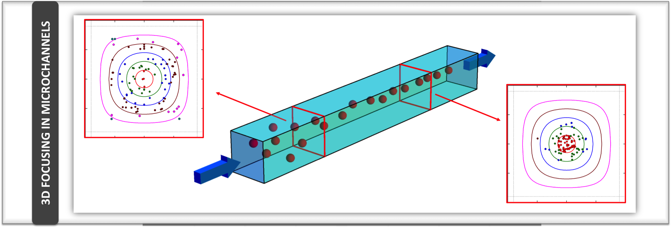 Bottega della Materia Soffice – Blog of the Soft Matter Engineering Group@UNINA
